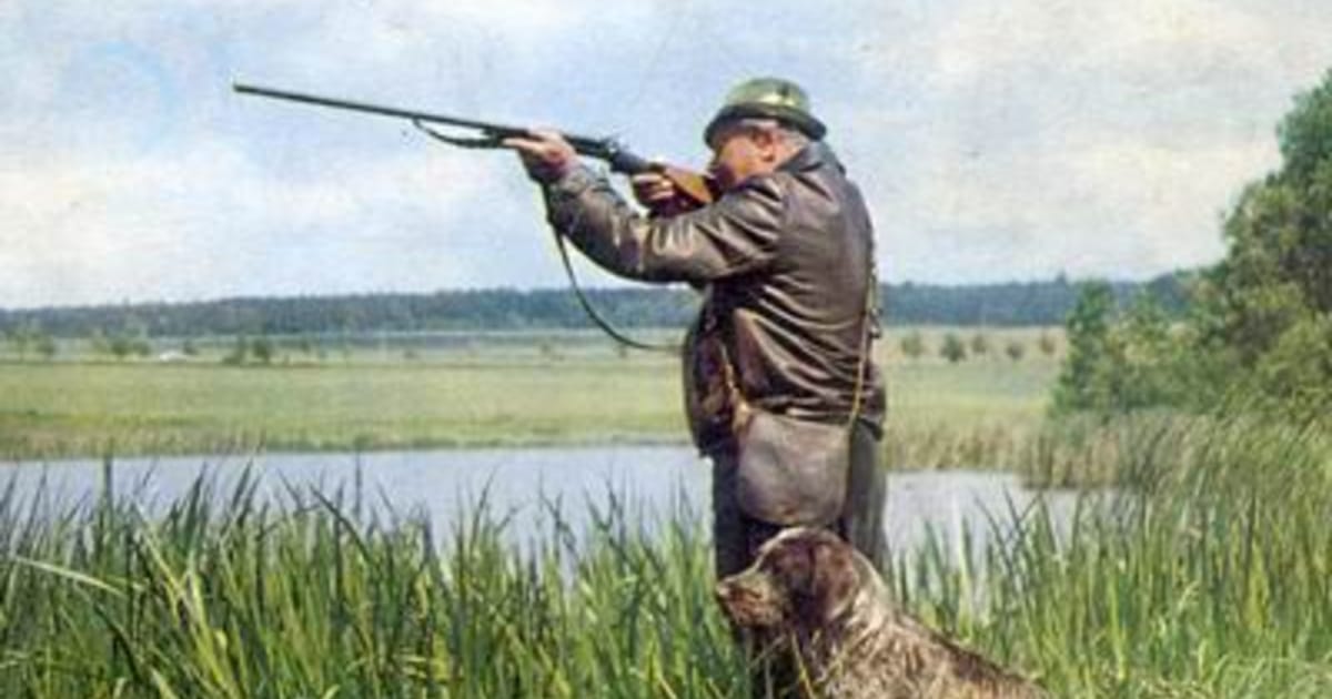 The Czech Republic: a hunters' paradise | Radio Prague International