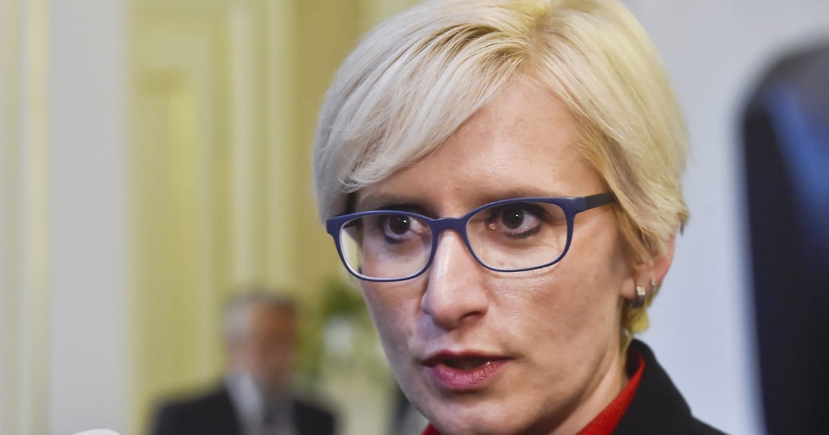 Czech PM faces ministerial haemorrhage from ANO veterans | Radio Prague ...