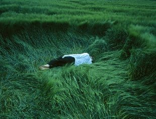 Exhibition at Rudolfinum maps ‘mutations’ in contemporary Czech ...